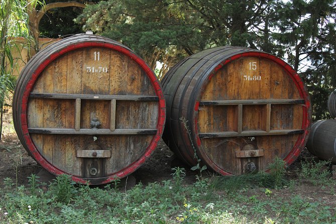 Wine Tour Bandol & Cassis from Marseille - Exploring Le Castellet: A Medieval Perch