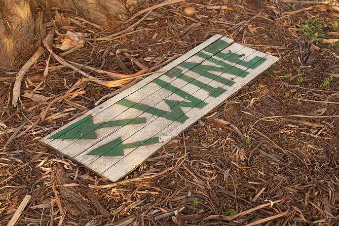 Wine Tour Bolgheri Half Day Shore Excursion from Livorno Port - Exploring Bolgheri and Its Surroundings