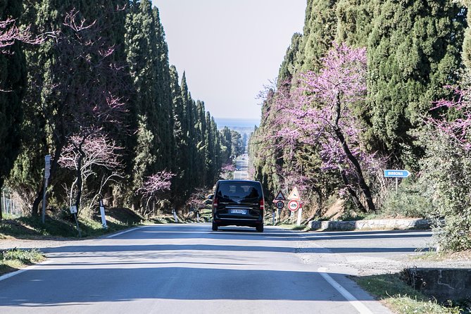 Wine Tour Bolgheri Half day Shore Excursion from Piombino Port - Who Will Love This Tour?