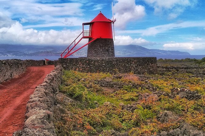 Wine Tour - Overview
