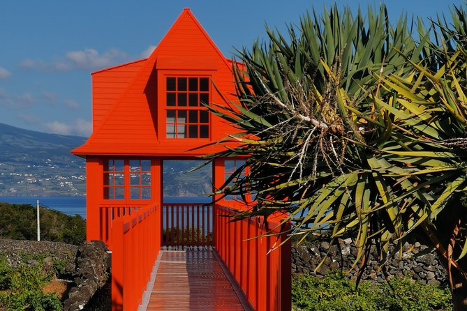 Wine Tour - Reviews and Experiences