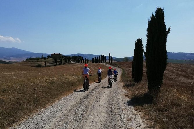 Wine Tour Ebike Experience - Wine Tastings Included
