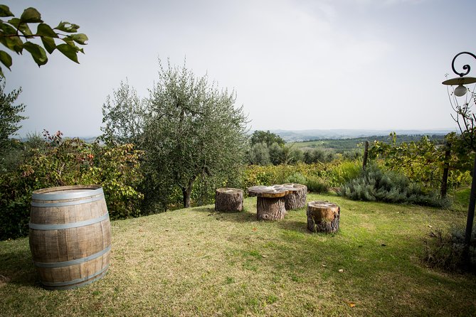 Wine Tour Experience at Agricola Tamburini - Tuscan Wine and Olive Oil Tasting