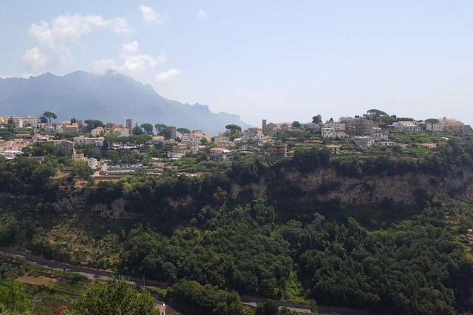 Wine Tour Experience for Family or Friends Group - Delights of a Boutique Winery Near Pompeii