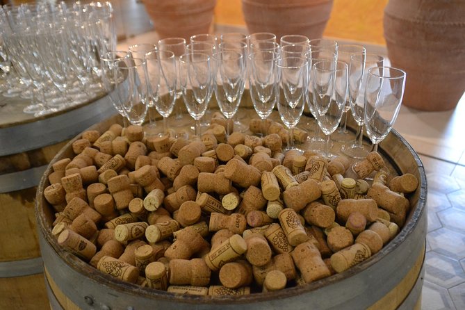 Wine Tour Experience for Family or Friends Group - What to Expect: Inclusions and Amenities