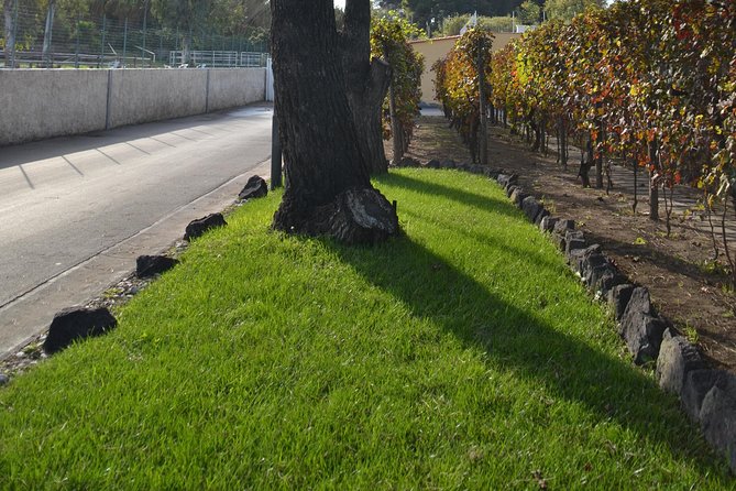 Wine Tour Experience for Family or Friends Group - Dress Code and Accessibility Information