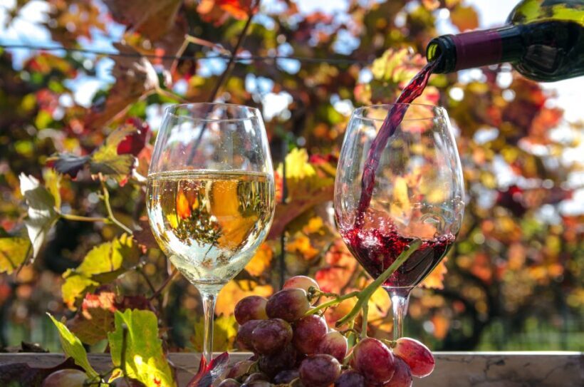 Wine Tour From lisbon with Tastings & Winemaker for a day - The Value of the Experience