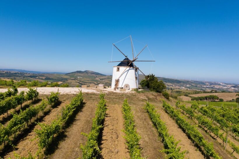 Wine Tour From lisbon with Tastings & Winemaker for a day - FAQ