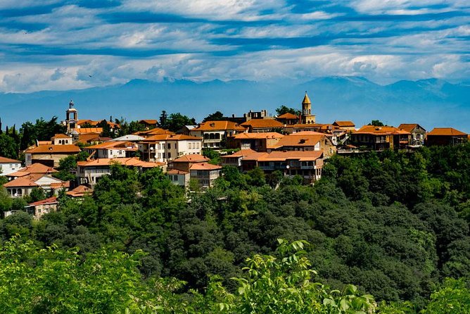Wine Tour in Kakheti, Telavi town, Georgia - Key Points