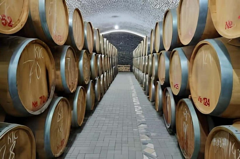 Wine tour in Samarkand (Baguizagan) English - An Authentic Look at Uzbekistan’s Wine Scene
