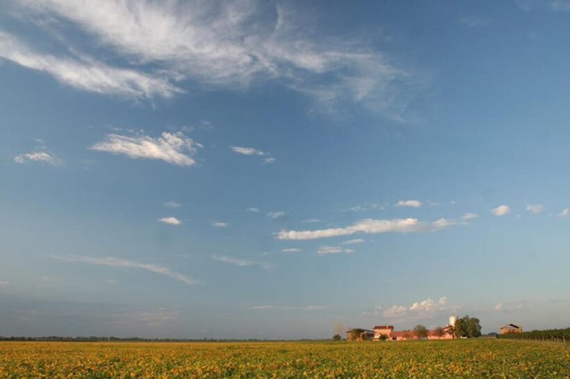 Wine Tour in the Hemingway lands close to Caorle Lagoon - A Closer Look at the Wine Tour Experience