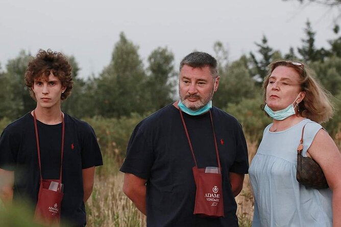 Wine Tour in the Historic Baglio Florio Adamo With Lunch - Starter: Typical Sicilian Fare