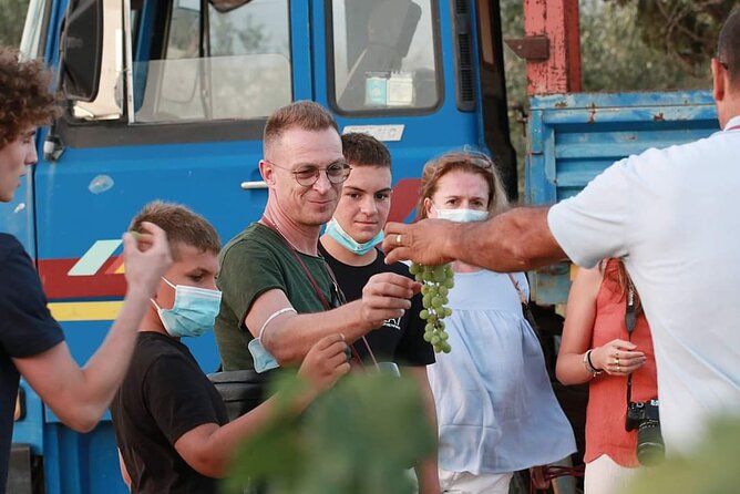 Wine Tour in the Historic Baglio Florio Adamo With Lunch - Guests Experiences and Reviews