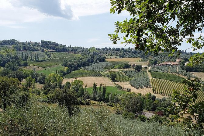 Wine tour in Umbria along the Sagrantino trail with light lunch - Stop 1: Bevagna - A Medieval Gem