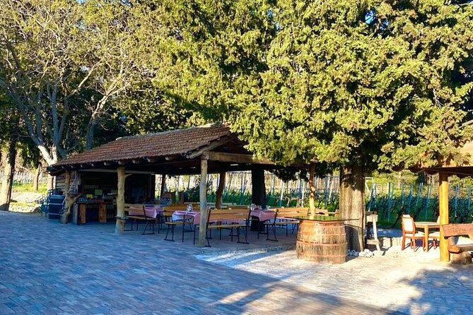 Wine Tour Konavle - Traveler Reviews and Feedback