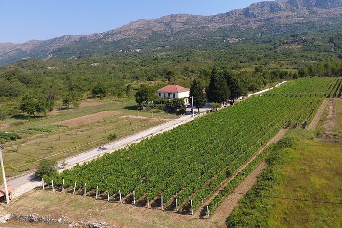 Wine Tour Konavle - Unique Offerings