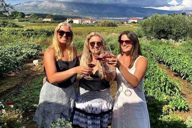 Wine Tour KorčUla - Private Tour - Key Points