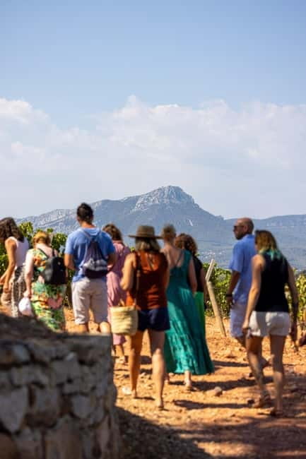 Wine tour - Le Pradet - Practical Details and Tips