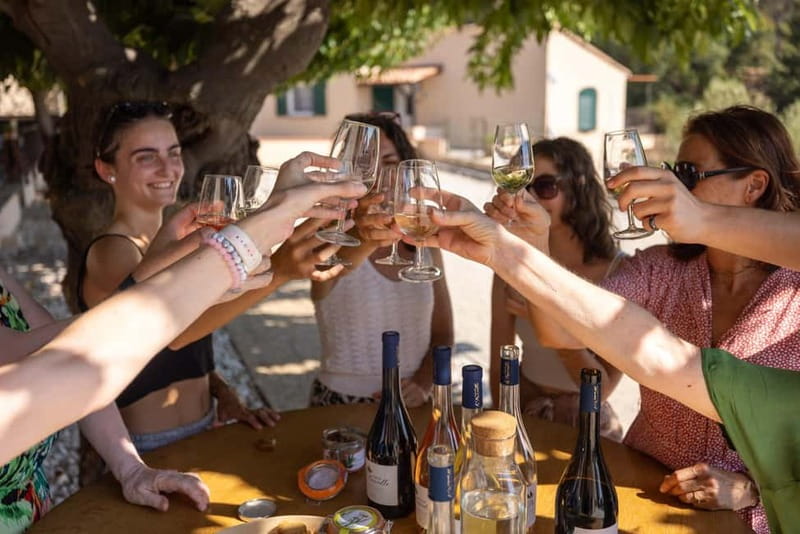 Wine tour - Le Pradet - Who Will Love This Tour?