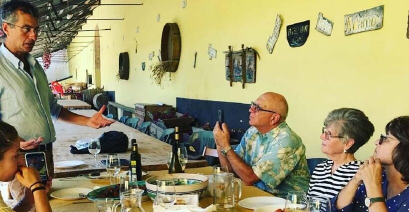 Wine Tour lunch/dinner in the historic baglio Florio Adamo - Analyzing the Value: Is It Worth It?