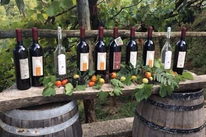 Wine Tour (lunch included) - FAQ