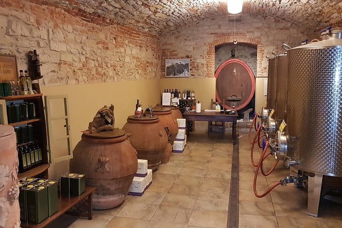 Wine Tour of two Chianti wine estates on the hills of Florence - The Sum Up