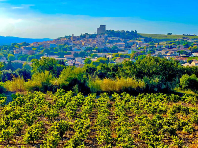 Wine Tour: On the Way to Chateauneuf du Pape - Key Points