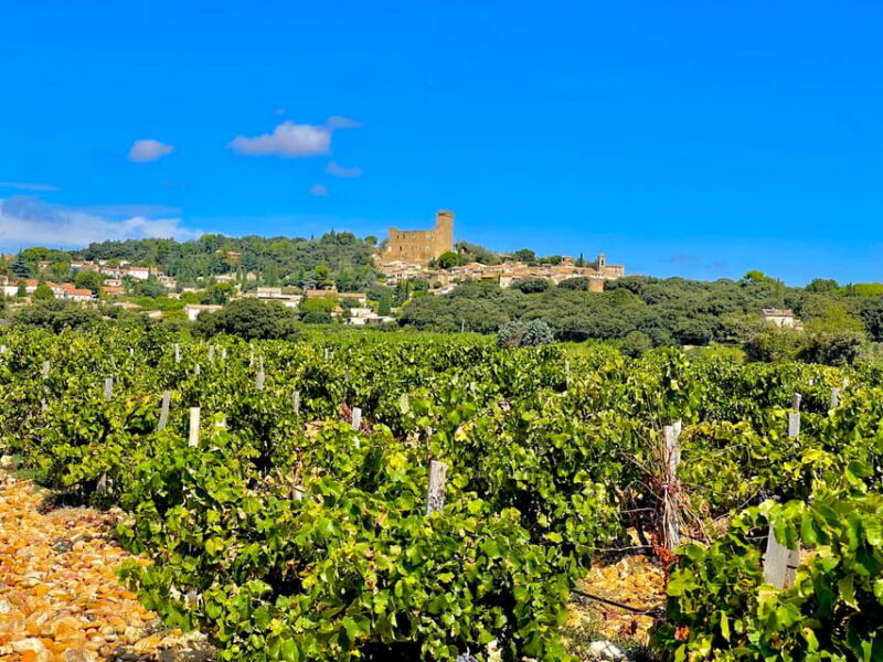 Wine Tour: On the Way to Chateauneuf du Pape - The Value Proposition