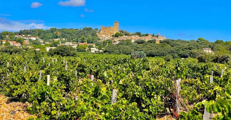 Wine Tour: On the Way to Chateauneuf du Pape - FAQ