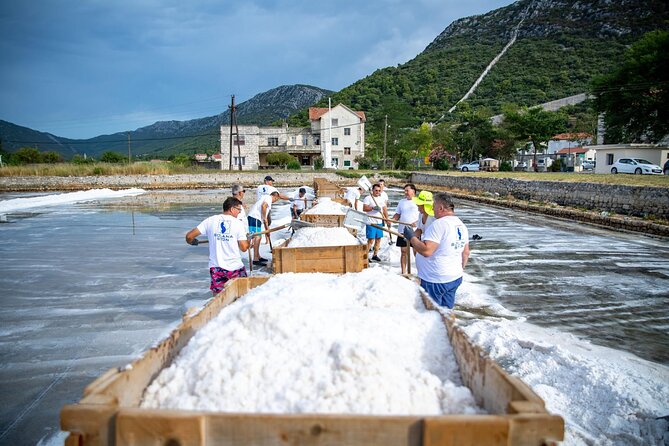 Wine tour peninsula Peljeac - Analyzing the Value