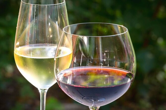 Wine tour peninsula Peljeac - Who Should Consider This Tour?