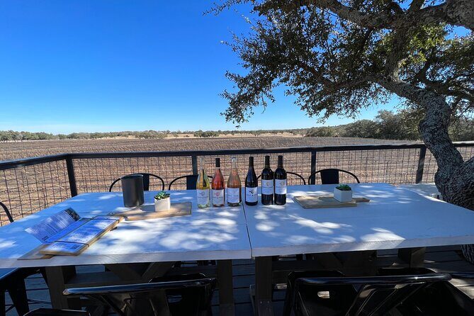 Wine Tour Pros - Fredericksburg Texas Wine Tour Up to 6 people - Final Words