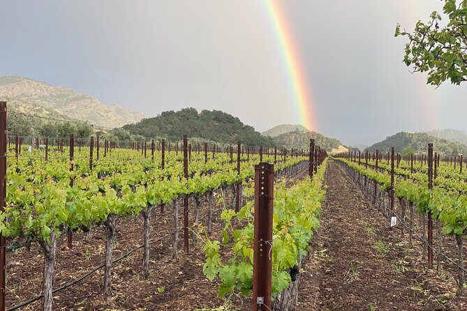 Wine Tour Pros - Sprinter Van Wine Tour: Up To 14 Guests - The Itinerary Breakdown: What to Expect