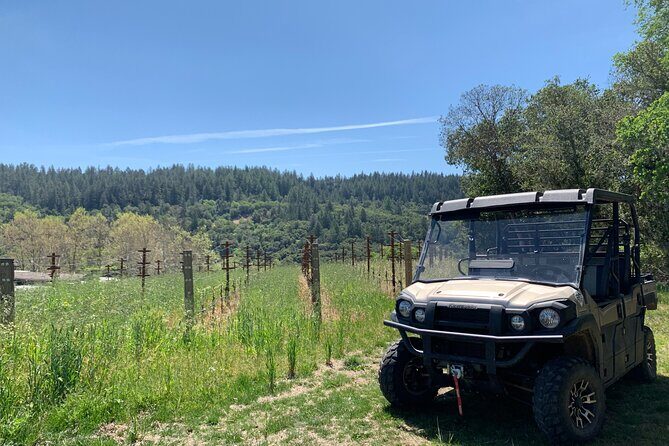 Wine Tour Pros - Wine Tour in Napa Valley: SUV For Up To 6 Guests - The Sum Up: Is It Worth It?