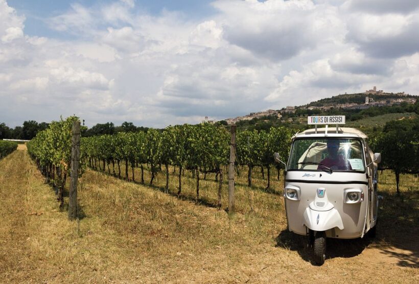 Wine Tour Spello in Tuk Tuk English +Spanish - A Closer Look at the Itinerary and Experience