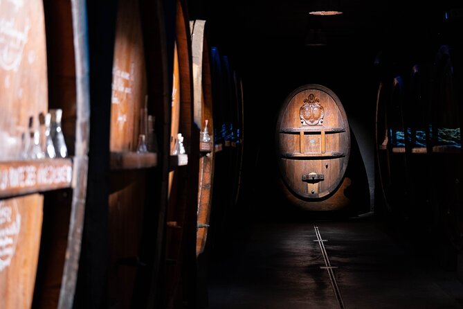 Wine Tour, Tasting and Alsatian Meal - 100% Immersive Experience - Exploring the Winemaking Process