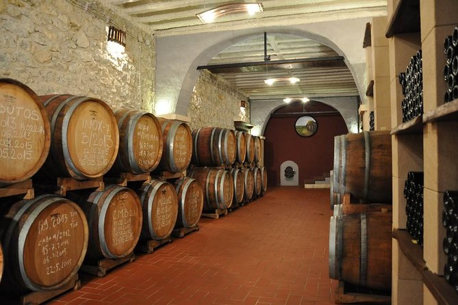 Wine Tour & Tasting (Herzegovina) - Who Will Love This Tour?