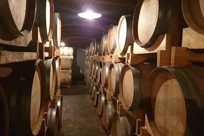 Wine Tour - The Best of Istria - Traveler Feedback and Recommendations
