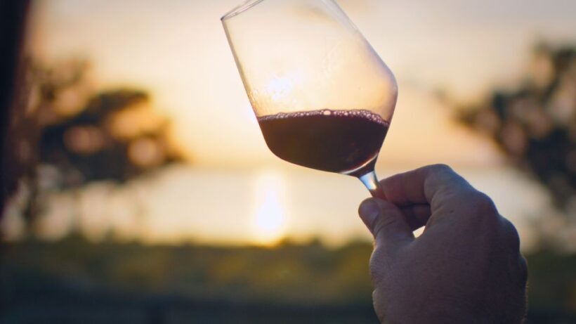 Wine Tour through the vineyards with tasting by Salt Lake - Discovering the Wine Tour Through La Mata Natural Park