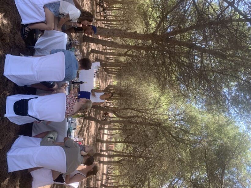 Wine Tour through the vineyards with tasting by Salt Lake - Key Points