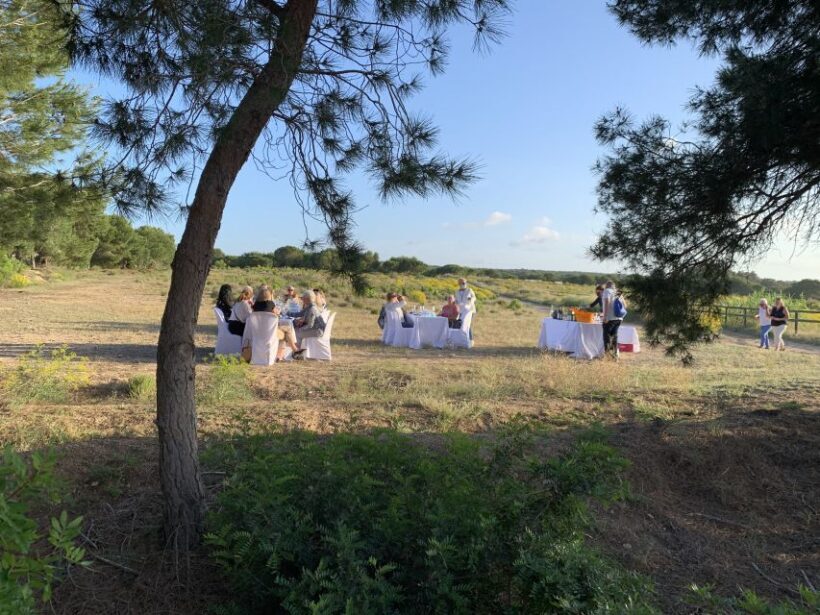 Wine Tour through the vineyards with tasting by Salt Lake - Who Should Consider This Tour?