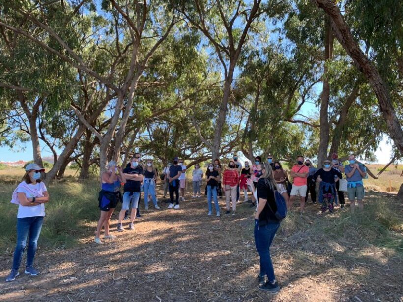 Wine Tour through the vineyards with tasting by Salt Lake - The Sum Up