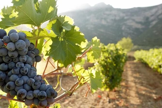 Wine Tour to Nemea And Nafplio - Included in the Tour
