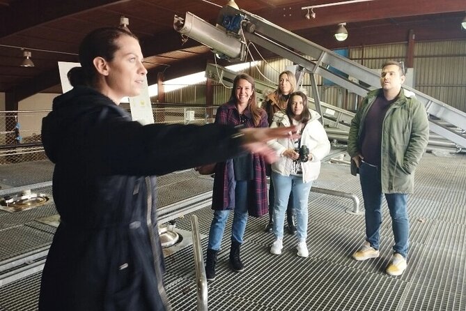 Wine Tour to Nemea And Nafplio - Physical Fitness Requirements