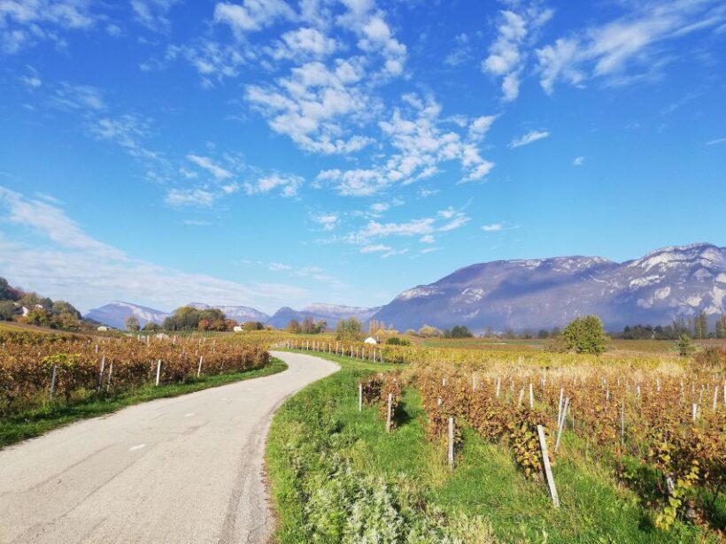 Wine Tour with private driver - 10 hours - Frequently Asked Questions