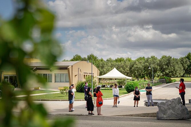 WINE TOUR With Sommelier in a WINEry Near Cagliari - Winery Stroll and Cellar Visit