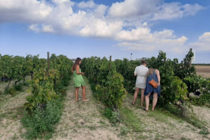 WINE TOUR WITH TASTING AND TRANSFER - FAQ