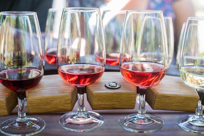 Wine Tour with Wine Tasting from Wanaka - What Sets This Tour Apart