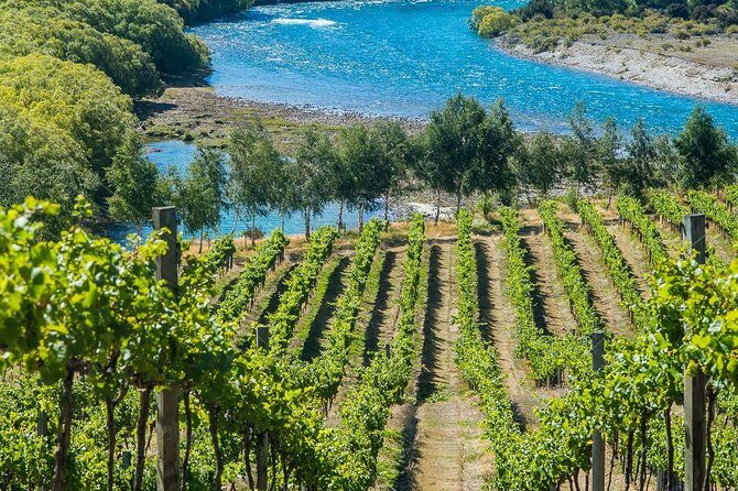 Wine Tour with Wine Tasting from Wanaka - FAQ
