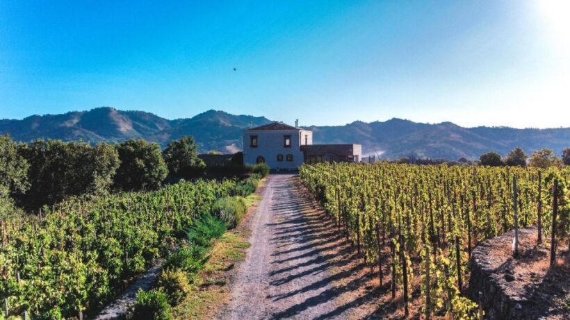 Wine tour with wine tasting - Exploring the Mount Etna Wine Tour: A Deep Dive